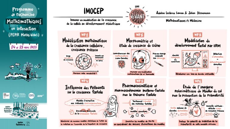 IMOCEP | PEPR Maths-Vives