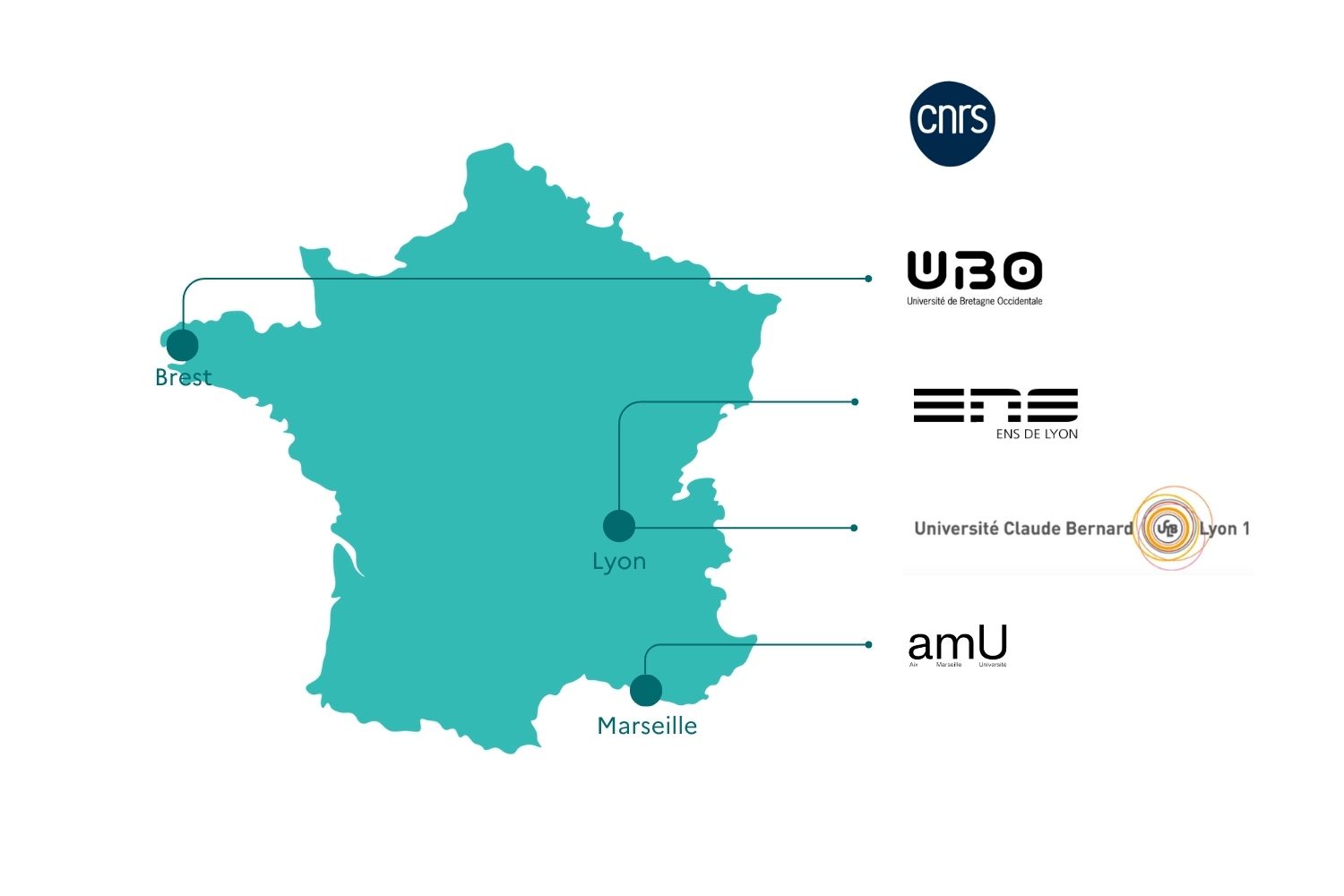 MAMUTCELL | PEPR Maths-Vives